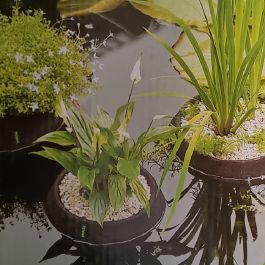 Floating plant basket